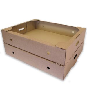 Cardboard Trays | Eco-Friendly